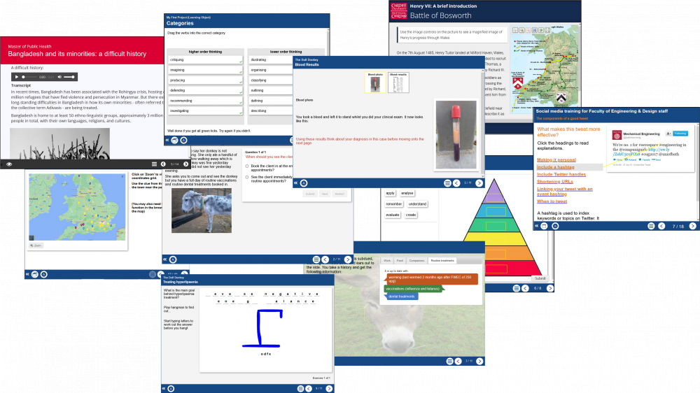 Student Guide to Xerte Activities
